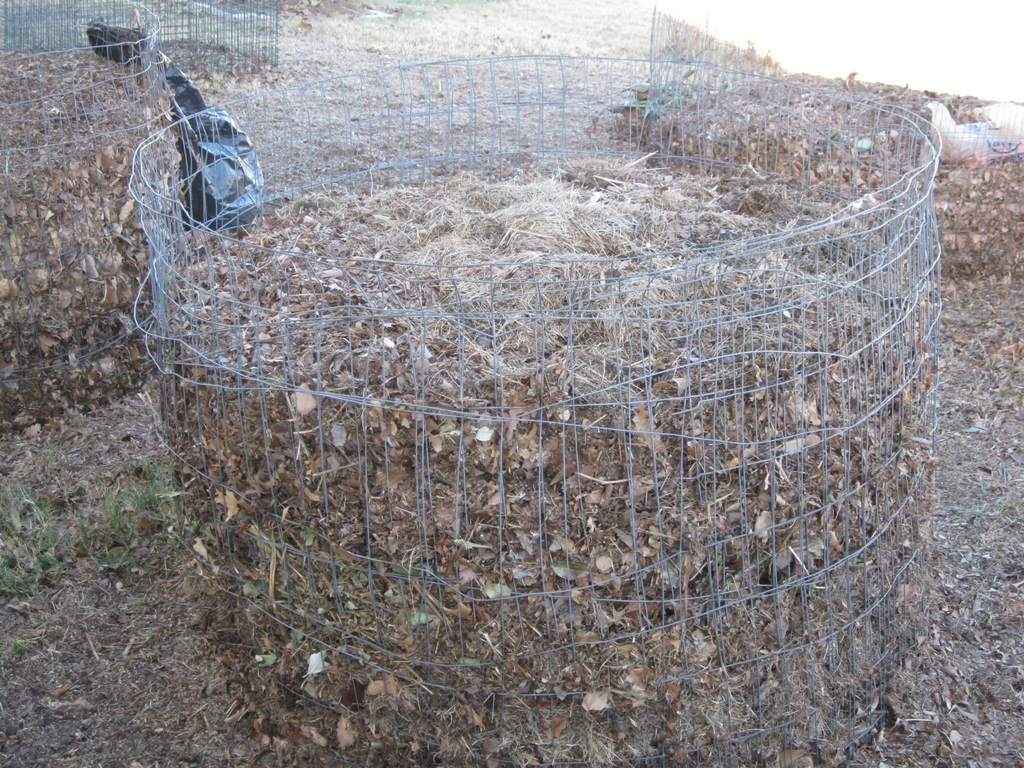 Compost | DALLAS GARDEN BUZZ