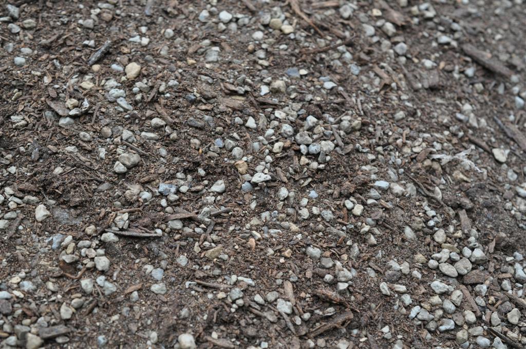 Expanded Shale | DALLAS GARDEN BUZZ