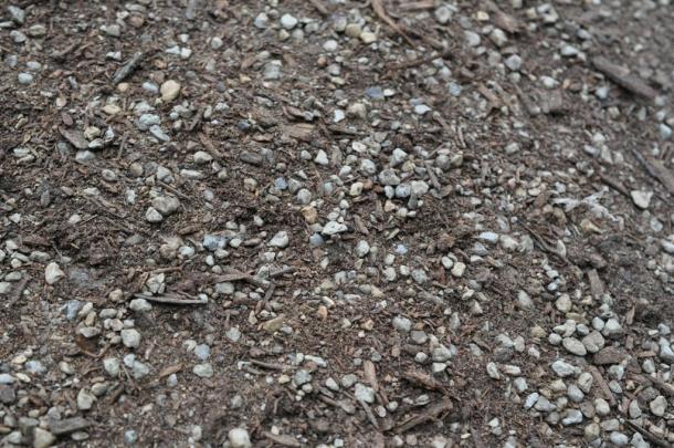 Expanded Shale | DALLAS GARDEN BUZZ