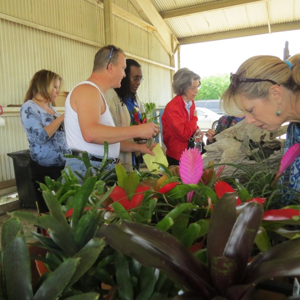 MAKING A LIST: SPRING PLANT SALES | DALLAS GARDEN BUZZ