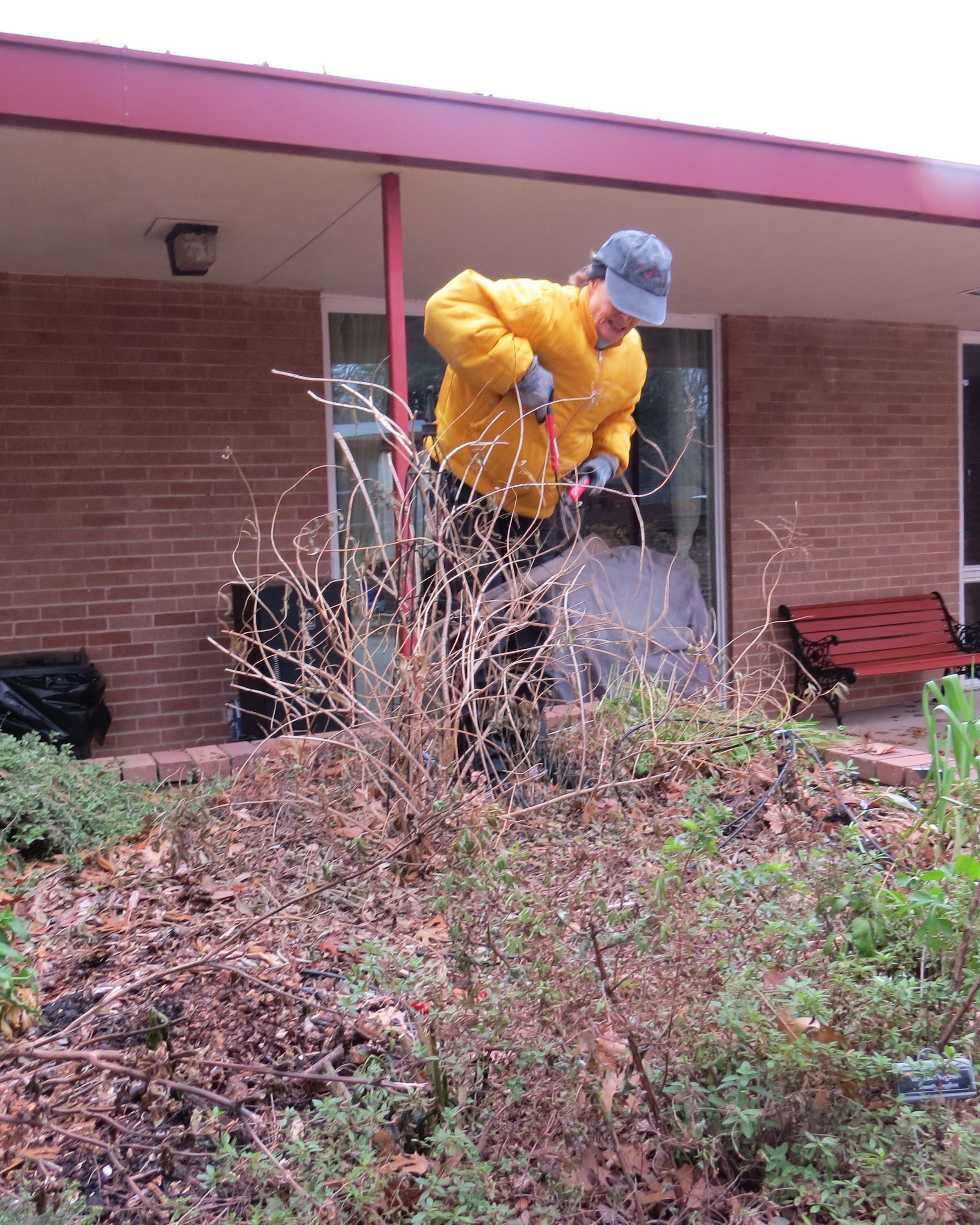 GARDEN CLEAN UP—KEEPING THINGS THE SAME? | DALLAS GARDEN BUZZ