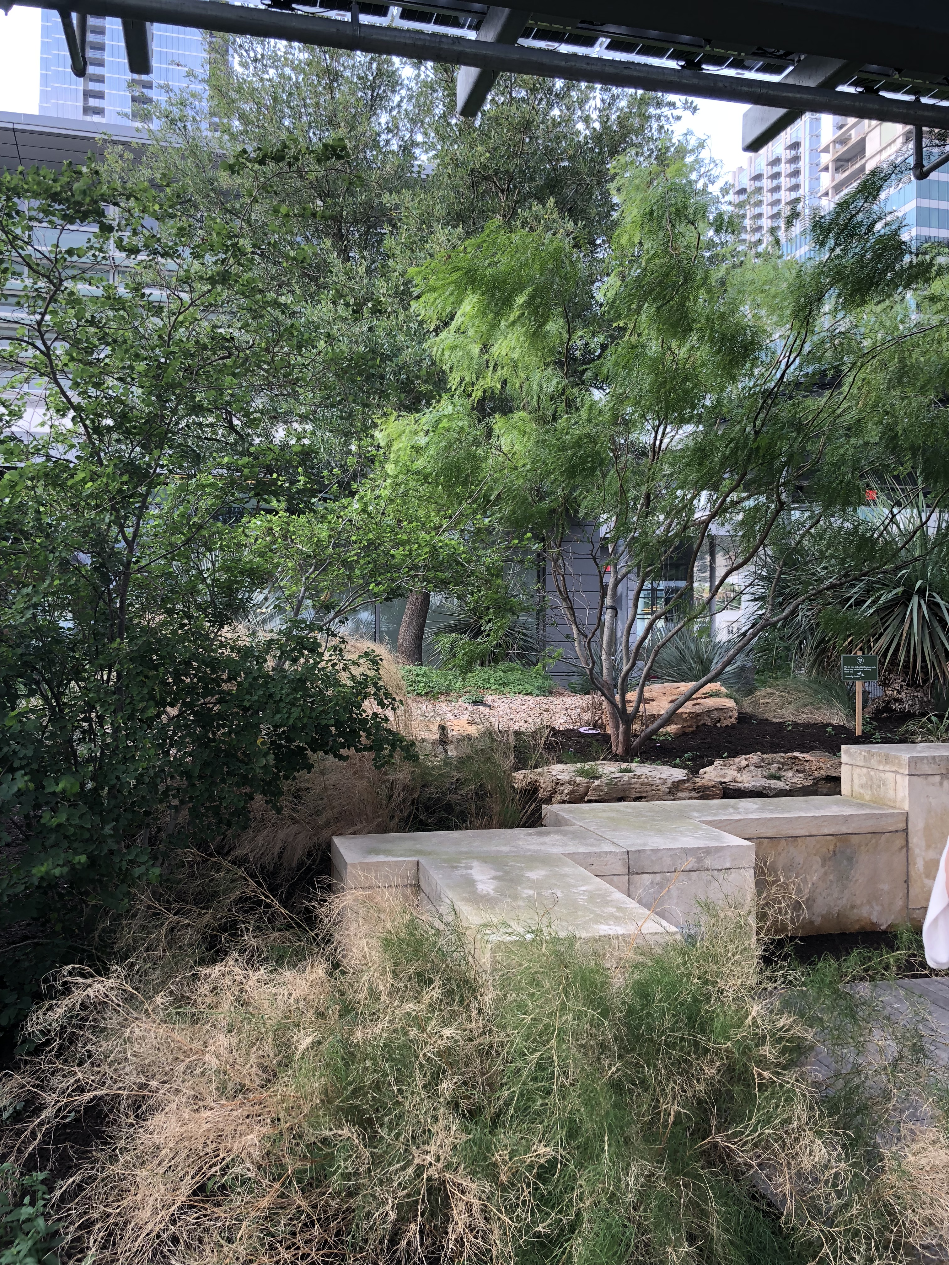 Garden Bloggers Tour Austin Gardens | DALLAS GARDEN BUZZ