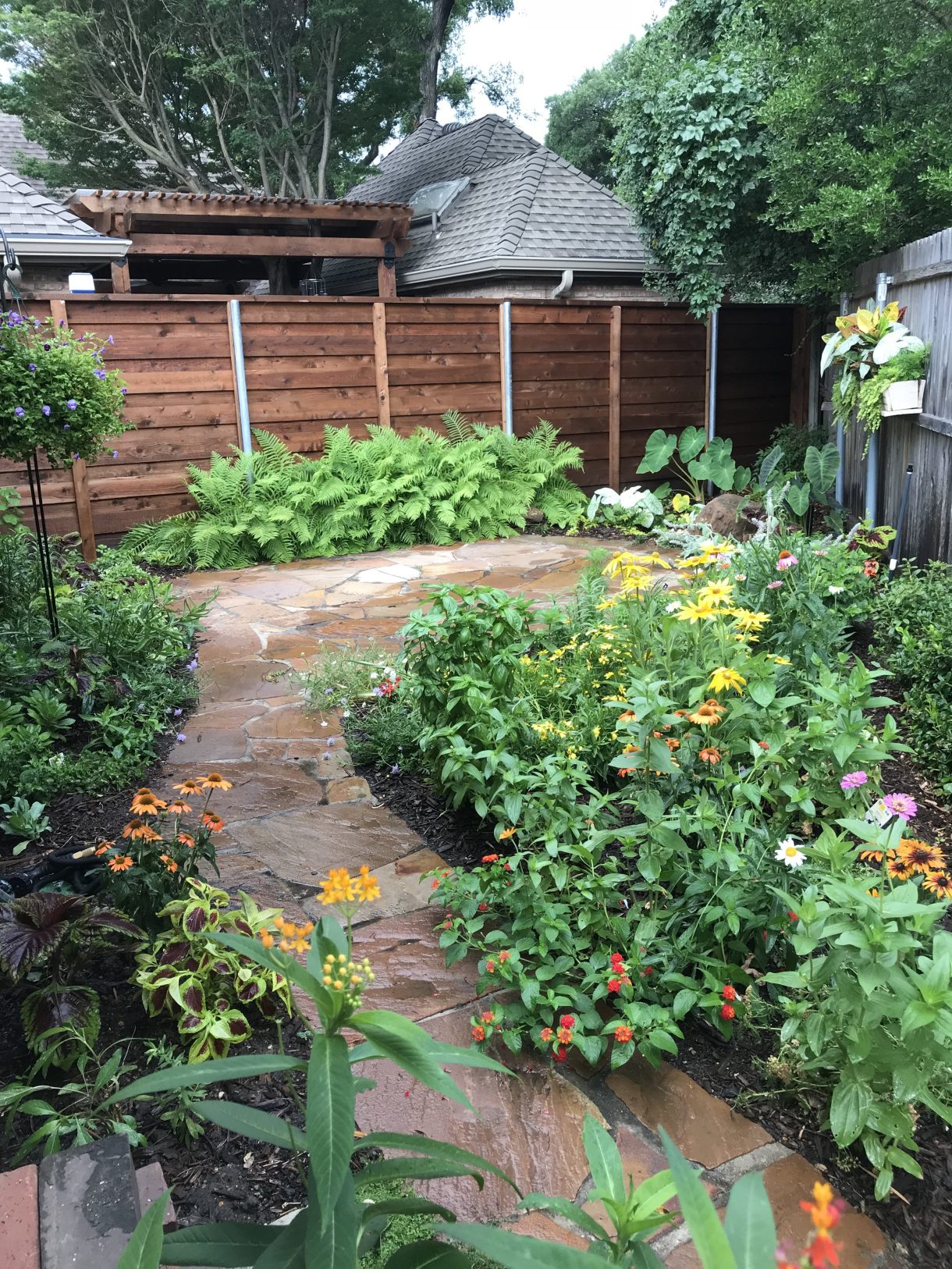 Cindy’s Secret Garden | DALLAS GARDEN BUZZ