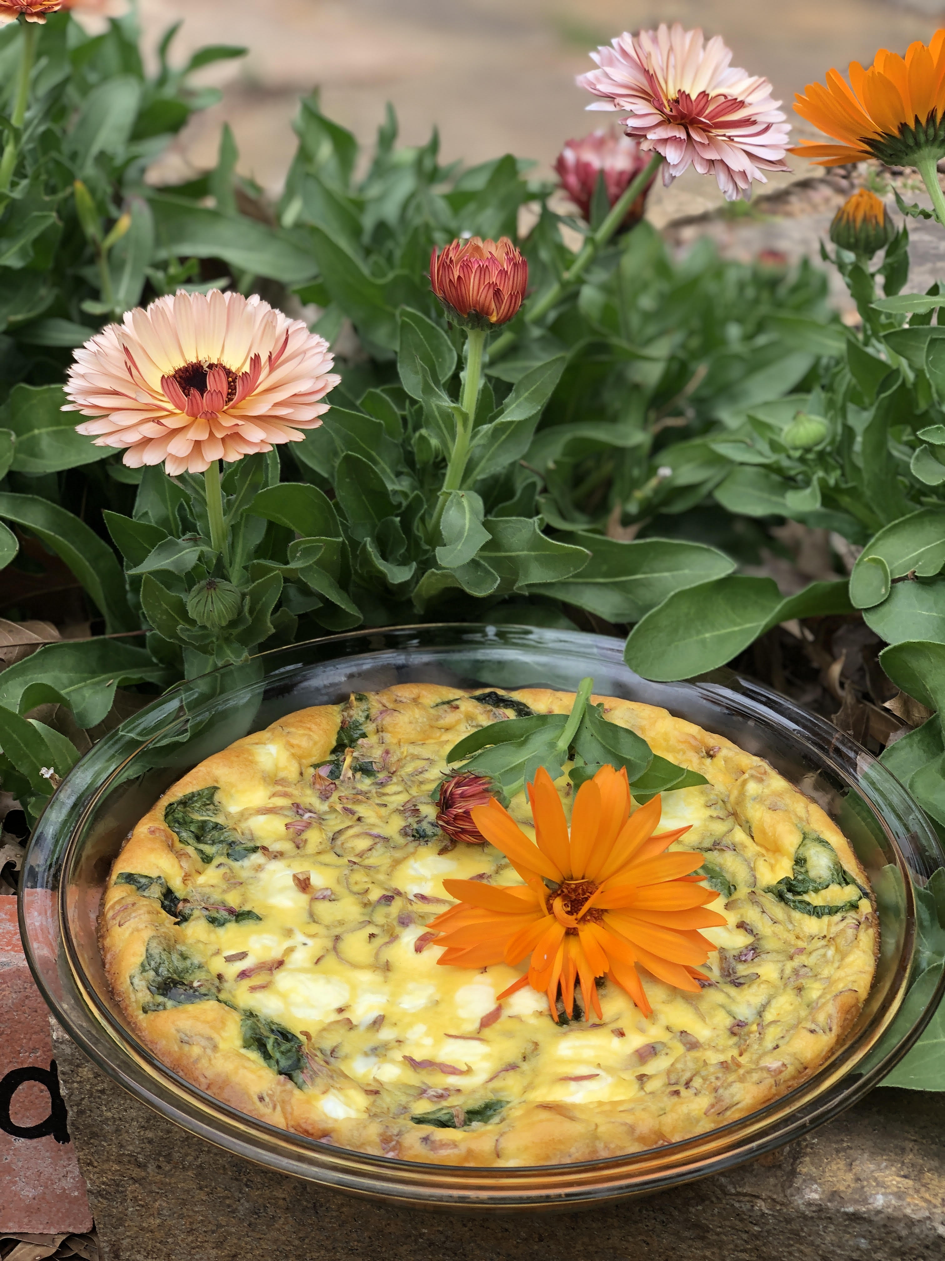 Calendulas in My Garden | DALLAS GARDEN BUZZ