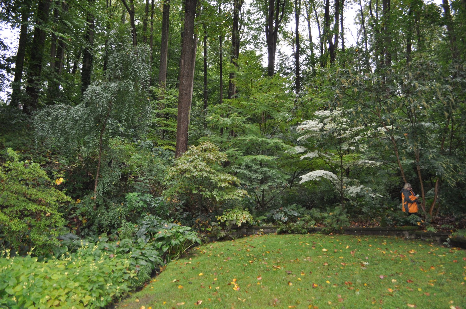 DALLAS GARDEN BUZZ | WaterWise Gardening in Dallas-Ft. Worth