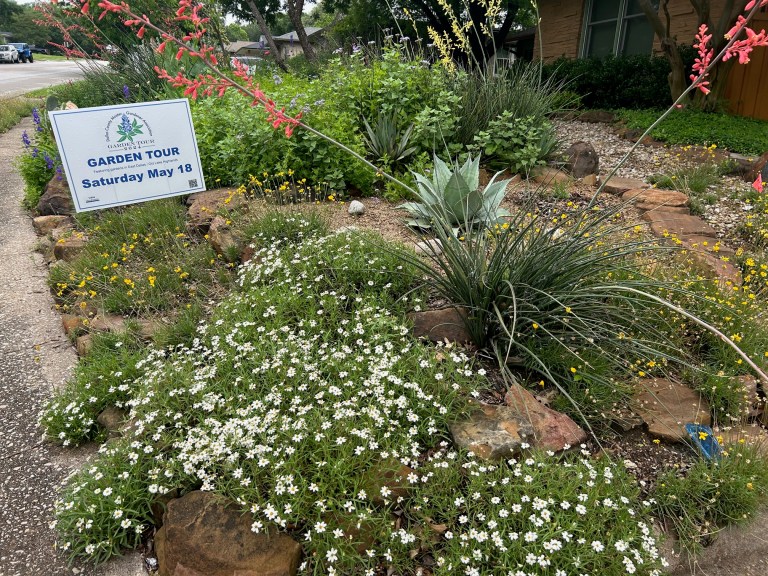 DALLAS GARDEN BUZZ | WaterWise Gardening in Dallas-Ft. Worth